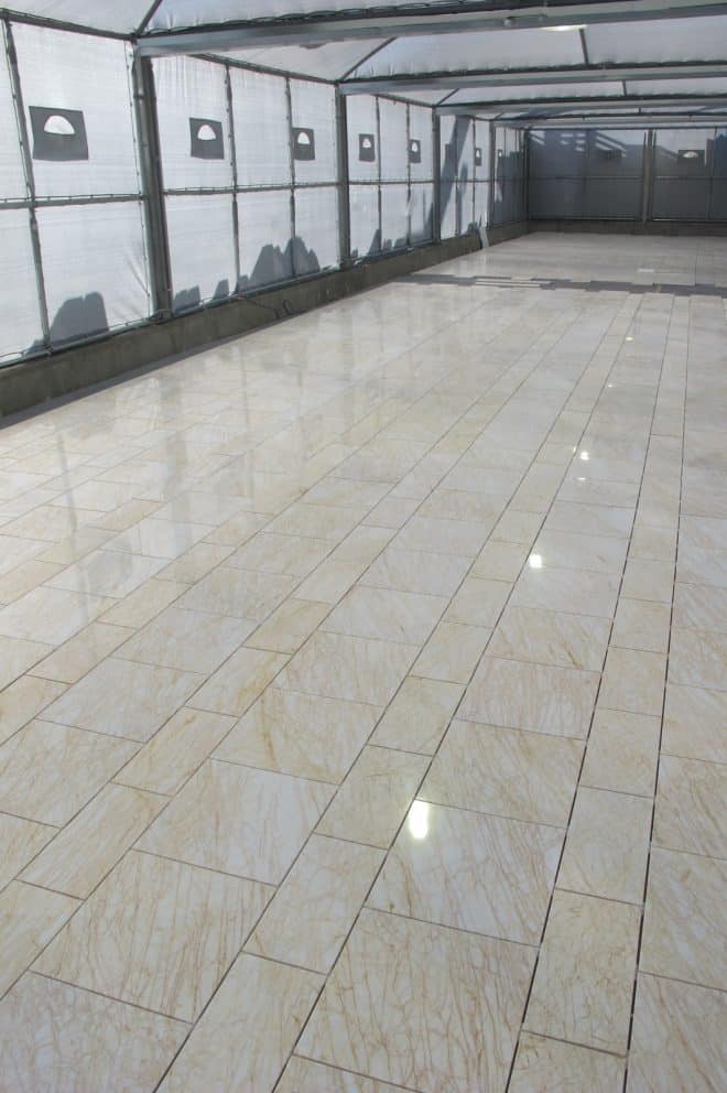 Golden Spider Marble - Mega Marble