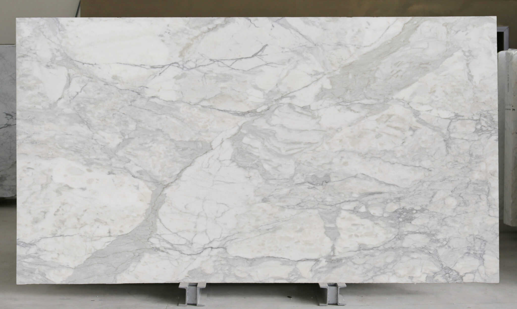 Calacatta Bianco Venato - Mega Marble