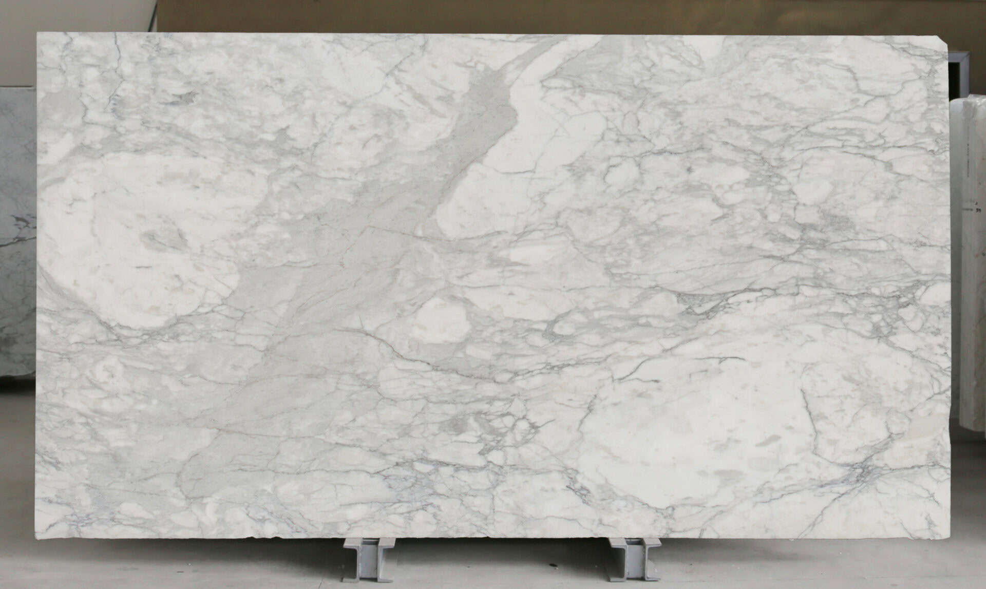 Calacatta Bianco Venato - Mega Marble